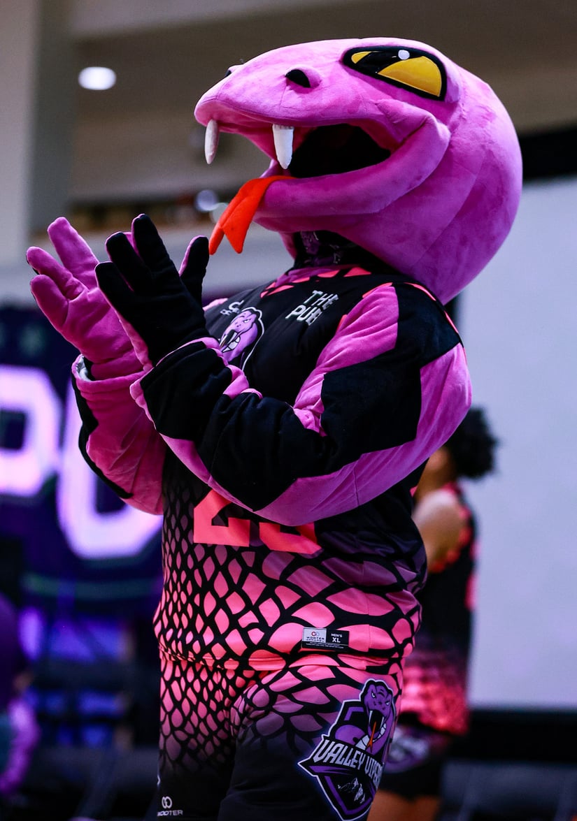 Economics & Business Analytics student interns with the Virginia Valley ...