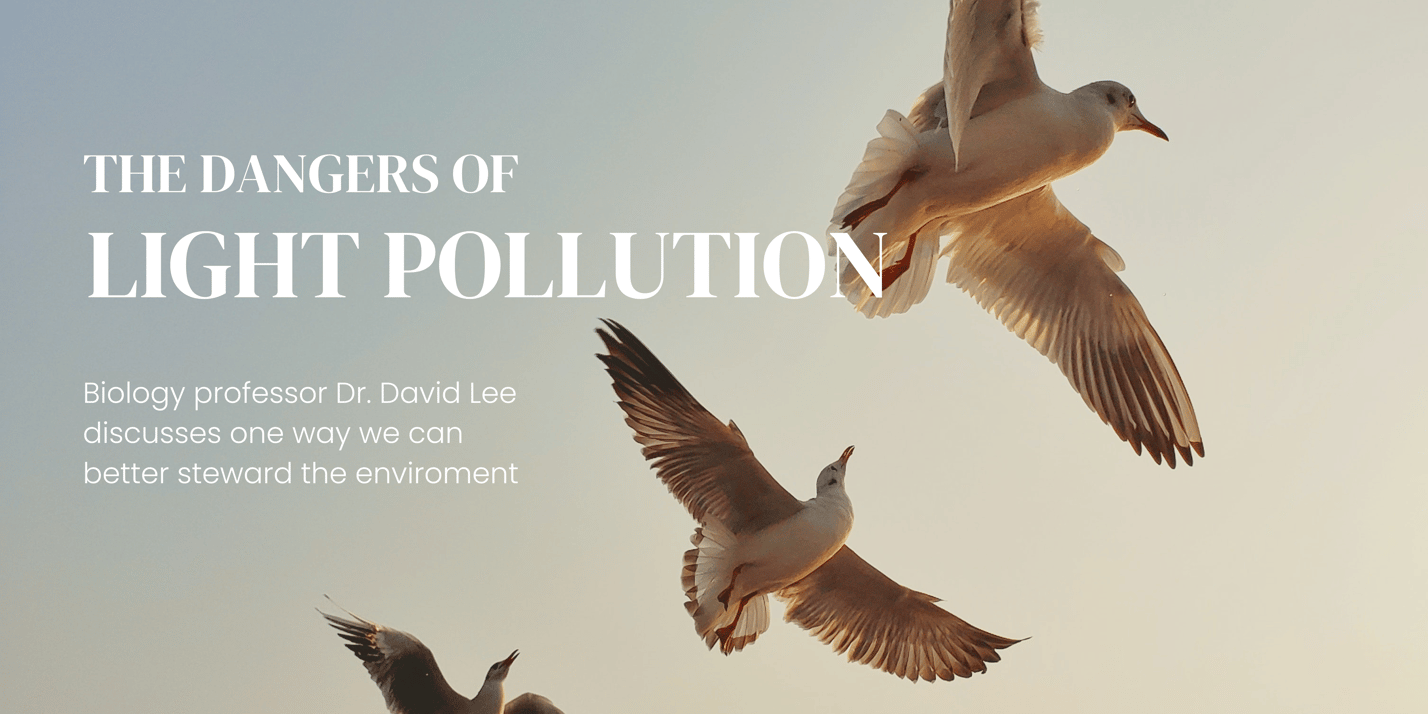 The dangers of light pollution, spiritual or otherwise