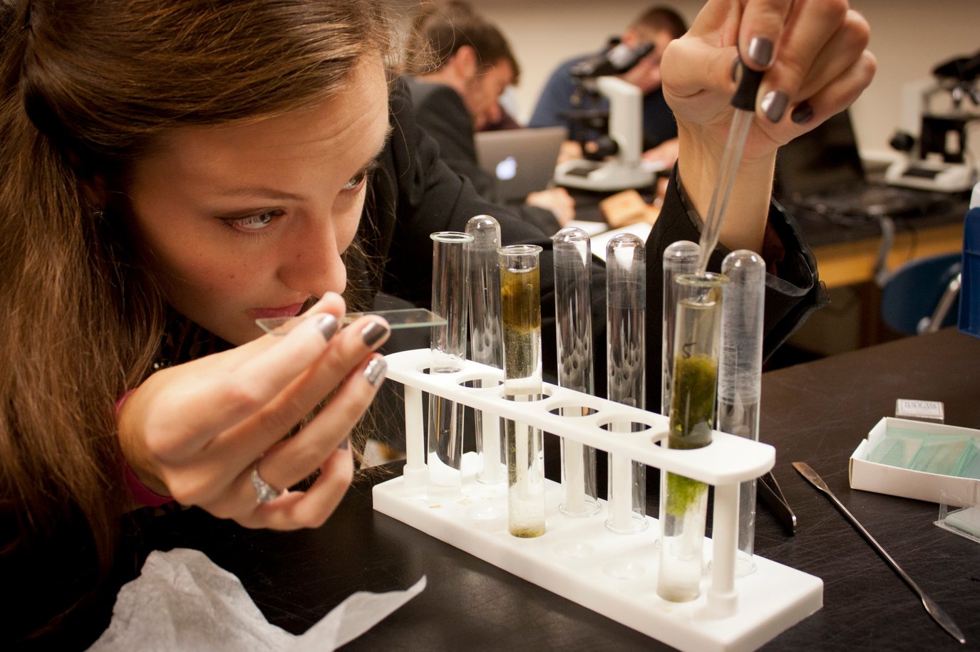 Environmental Science & Stewardship Program Overview