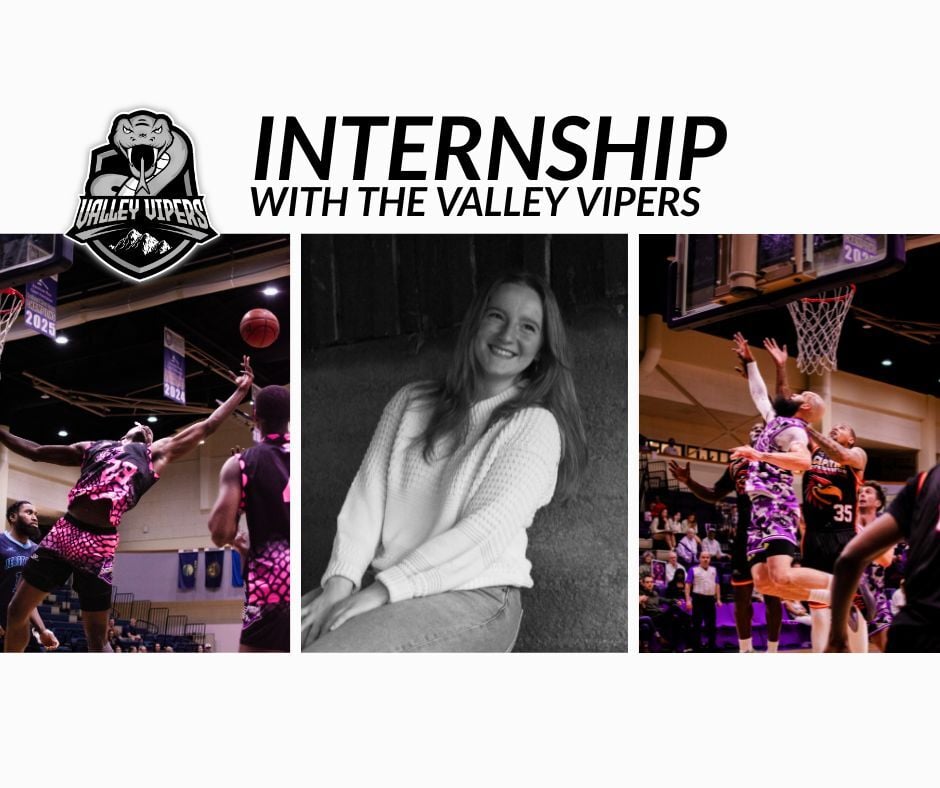 Economics & Business Analytics student interns with the Virginia Valley ...